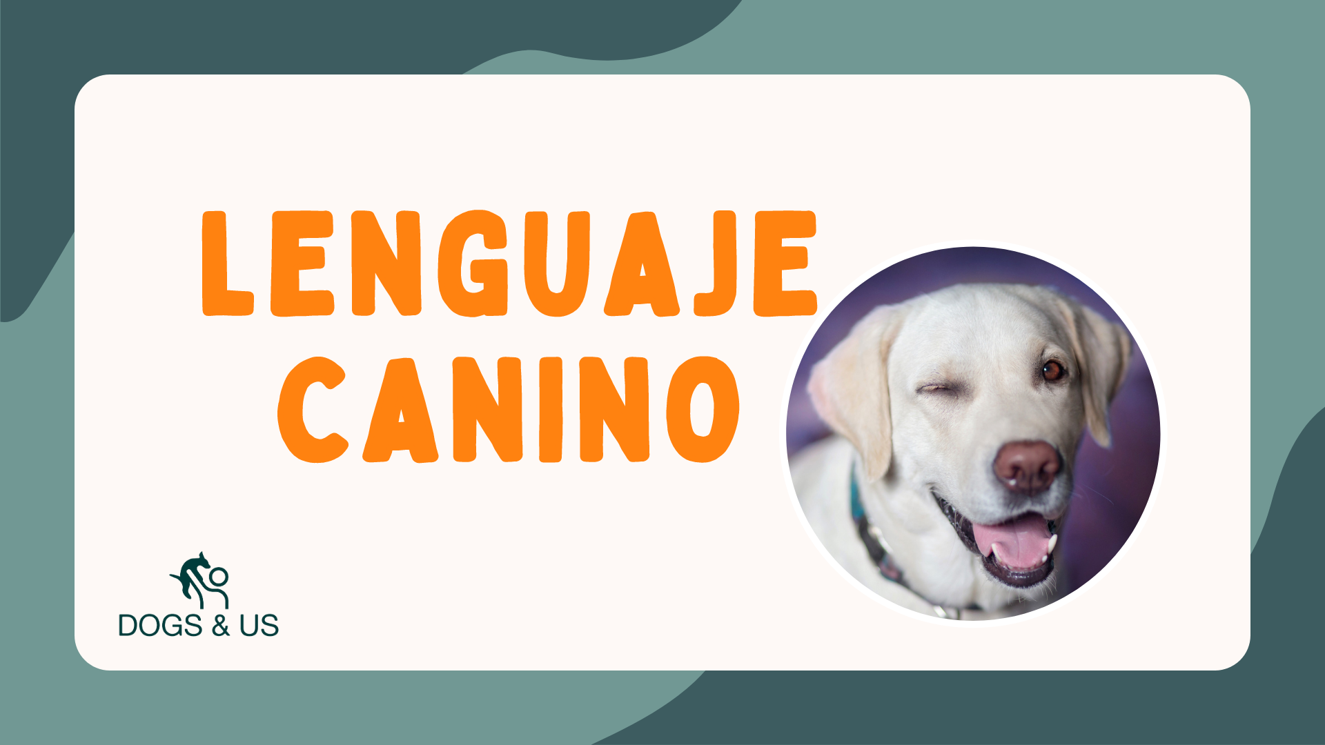 Material Mini Pack Conoce A Tu Perro Dogs Us